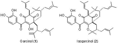 Structures Of 1 Garcinol And 2 Isogarcinol Download Scientific