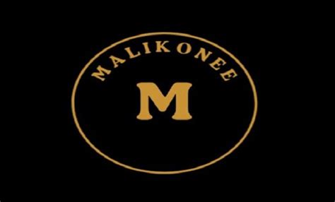 Write C Sharp Scripts For Your Godot Game By Malikonee Fiverr