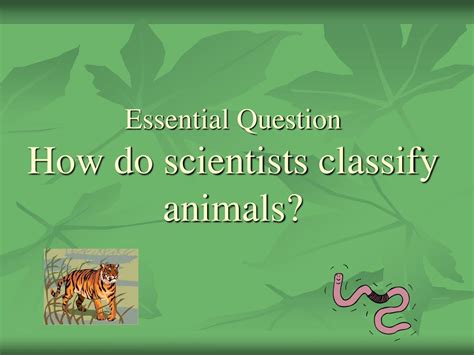 Ppt Classifying Plants And Animals Powerpoint Presentation Free Download Id2774882