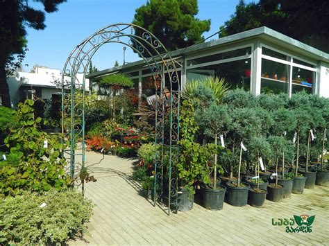 საბა გარდენი Saba Garden საბა გარდენი Saba Garden
