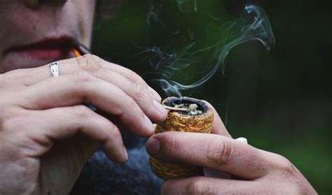 Healing Herbs The Wonders Of Smoking Herbs Classes