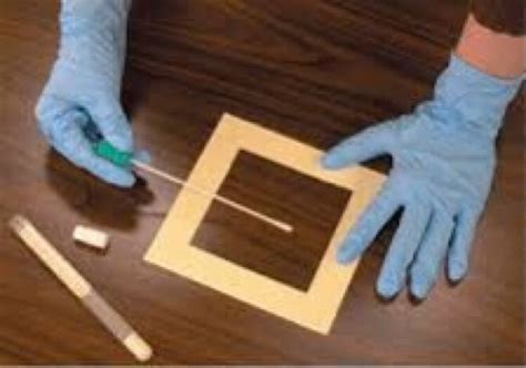 Ahmed Elhadi On Linkedin Surface Monitoring With Swab Method Surface Monitoring Using Cotton Swabs…