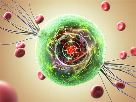 上皮性卵巢癌化疗期间怎么预防感染（比如白细胞低）？ 上皮性卵巢癌 卵巢癌 肿瘤疾病大全癌症肿瘤科普知识 有来医生