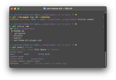 Oh My Zsh Plugins And Setup Zsh