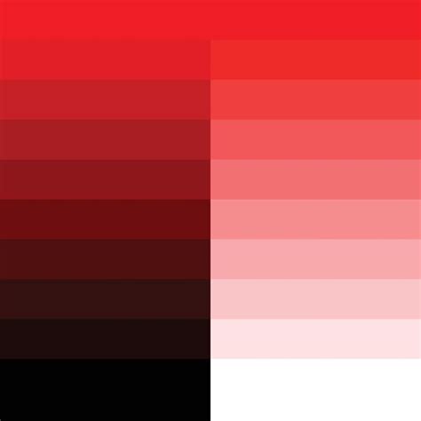 Red Gradient Color Palette Color Palette Red Colour Palette Red Monochromatic