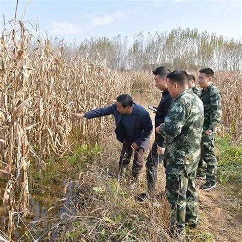 区安全生产应急救援队：全力排涝保秋收小河村
