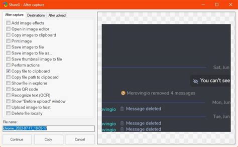 Cannot Get Jpeg In Capture Region Anymore Defaults To Png · Issue