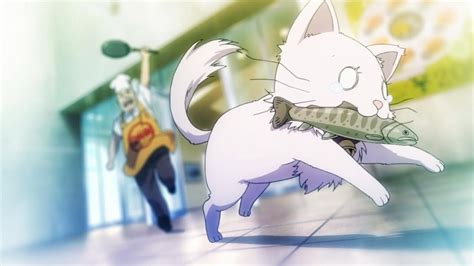 Neko From K Project Kk Project Missing Kings Return Of Kings Neko