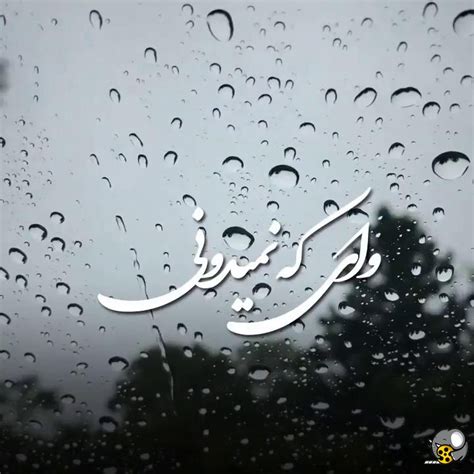 چشمات یه حالی داره که دلم برات میره فیلو