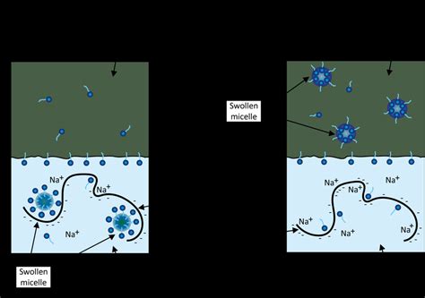 Polymer Surfactant Interactions And Their Effect On The Ift Adapted Download Scientific