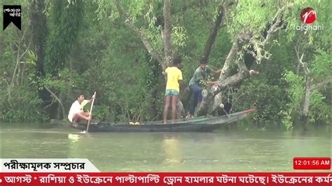সুন্দরবনের গাছ পুড়িয়ে শুঁটকি তৈরি Youtube