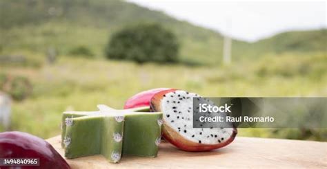 만다카루 선인장의 피타야 열매 자연 경관에서 흐릿한 배경으로 구성 0명에 대한 스톡 사진 및 기타 이미지 0명 건강한