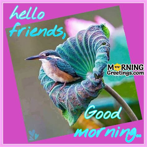 Top 999 Hi Good Morning Images Amazing Collection Hi Good Morning