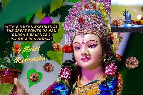 9 Mukhi Rudraksha Benefits Power Mantra Zodiac Ratna