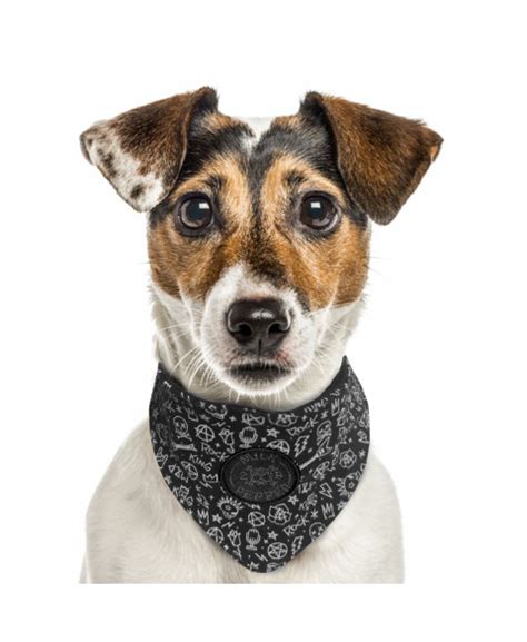 Milk Pepper Luksusowa Bandana Dla Psa W Czaszki Czarna POSH PAWS