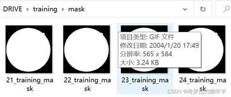 自定义语义分割的数据集，drive为例 drive数据集 csdn博客