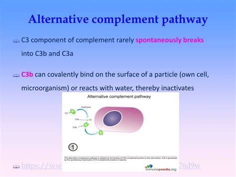 Ppt Complement Powerpoint Presentation Free Download Id 9384604