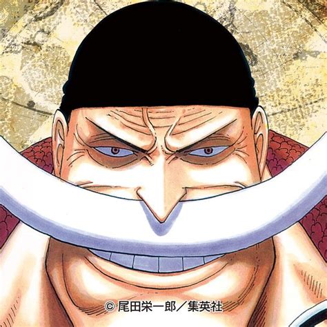 Whitebeard Official ワンピース Icon On Twitter One Piece Ícones Governo