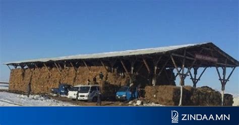 Малчдын түвшинд өвс тэжээл бэлтгэл 84 5 хувьтай гарлаа
