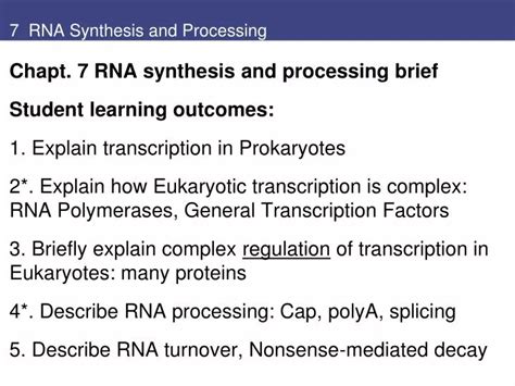 PPT 7 RNA Synthesis And Processing PowerPoint Presentation Free Download ID 4807961