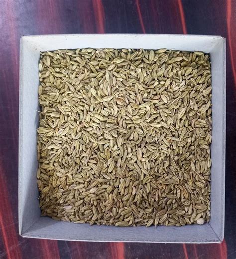 Organic Fennel Seeds Form Whole At Rs 300kg In Navi Mumbai Id