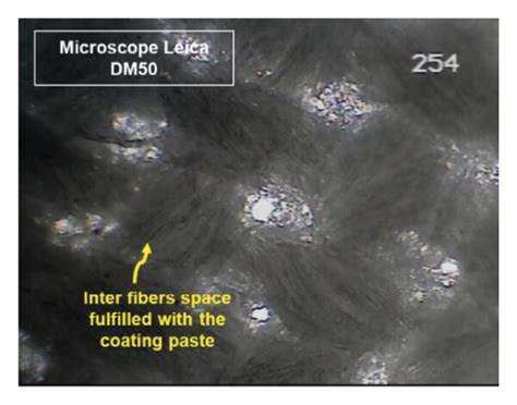 Surface Morphology Of The Coated Cotton Pes Woven Fabric Fluorocarbon