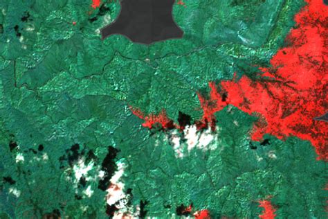 Datasets Lens Upstream Tech