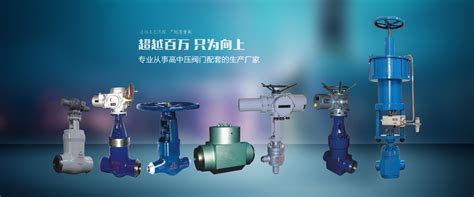 浙江普天阀门科技有限公司