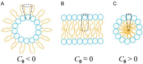 Antibiotics Special Issue Structure And Function Of Antimicrobial