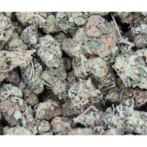 Buy Dolato 12lb Happy Clouds