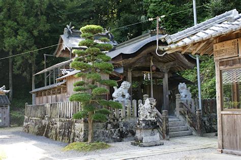 岩附神社の夫婦杉