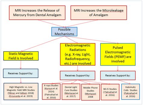 How Do Different Physical Stressors Affect The Mercury Release From Dental Amalgam Fillings And