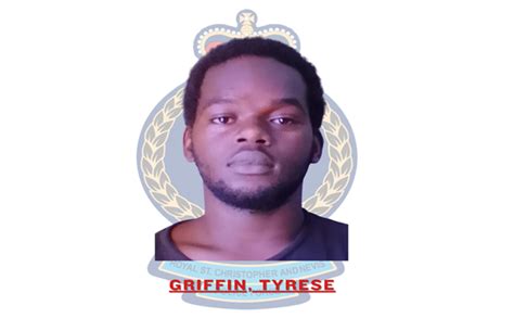 Sknvibes Griffin Fined For Larceny Two Others Charged In Separate Incidents