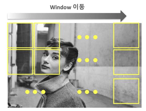 논문 리뷰 R Cnnrich Feature Hierarchies For Accurate Object Detection And Semantic Segmentation