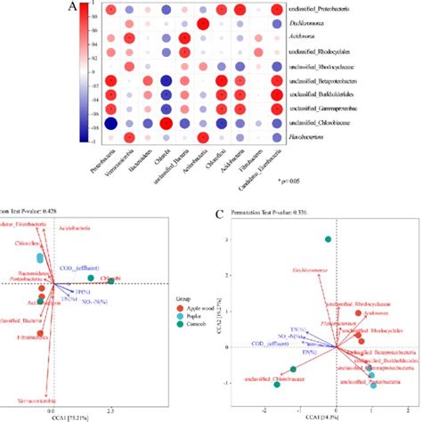 The Relationship Between Dominant Phyla And Genera Of The Microbial