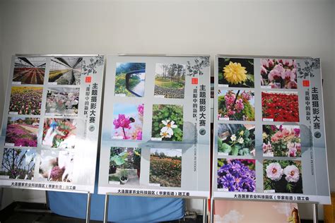 大连金普新区