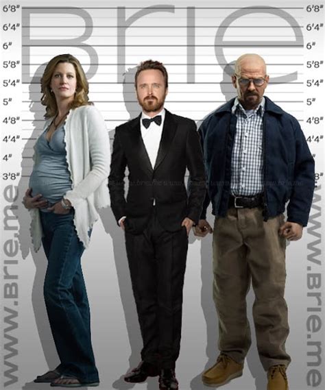 Aaron Paul Height Brie