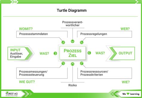 Was Ist Ein Turtle Diagramm Und Wie Funktioniert Die Turtle Methode