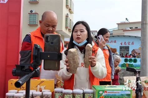 吃货看过来佛冈汤塘竹山粉葛节开幕国家地理标志产品大受欢迎 汤塘镇 罗沅琪 农业