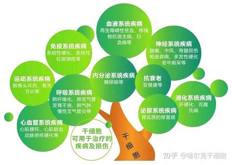 自体干细胞与同种异体干细胞，如何选择？ 知乎