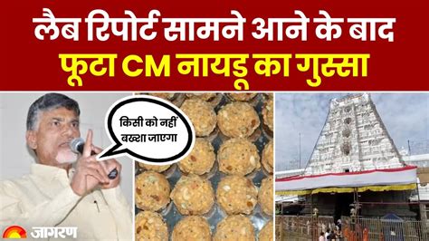 Tirupati Temple के प्रसाद की लैब रिपोर्ट सामने आने के बाद फूटा Cm नायडू