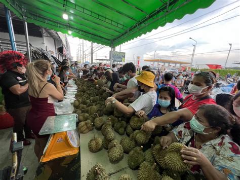 ฮือฮา เปิดขาย ทุเรียนหมอนทอง ลูกละ5บาท
