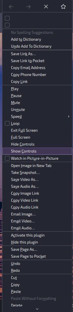 Context Menu Shows Literally Every Option No Matter What Was Right