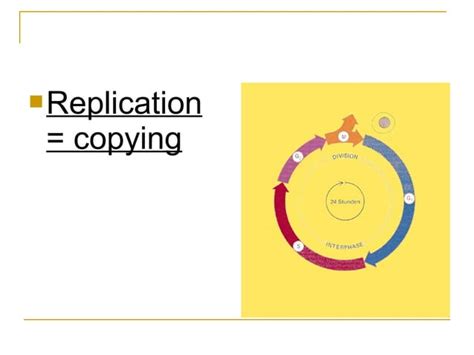 DNA Structure Function Replication Lesson PPT