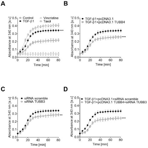 Modulation Of Tubb3 And Tubb4b Is Critical For The Regulation Of Cell