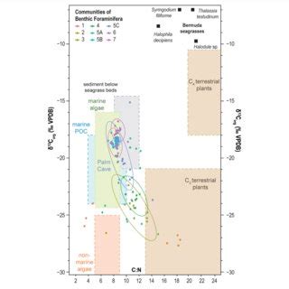Crossplot of δ C org values and C N ratio of bulk sediment from Download Scientific