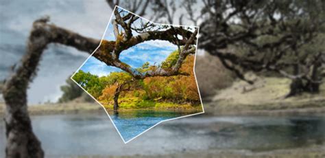 Java Android Manipulate Images On Canvas Working With Touch Move