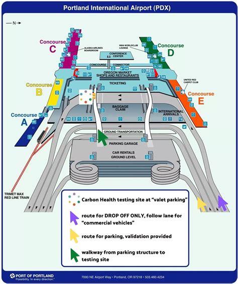 Seattle Airport Map Seatac Guidemapsonline Artofit