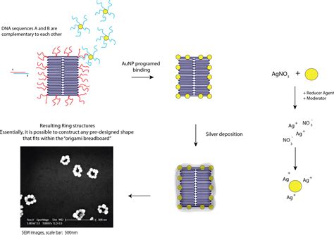 Dna Nanostructures
