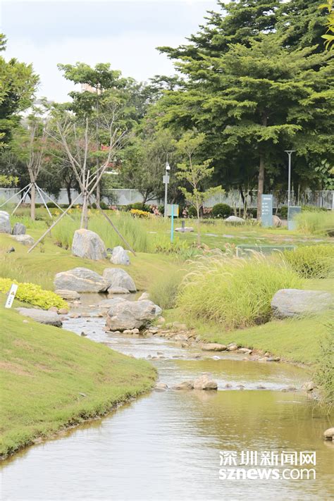 河畅水清 岸绿景美 光明湿地公园美如画光明网